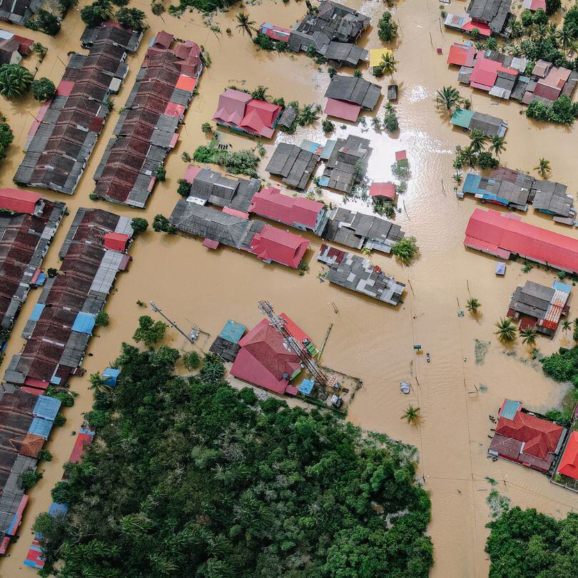 Harnessing Urban Forests for Natural Disaster Resilience