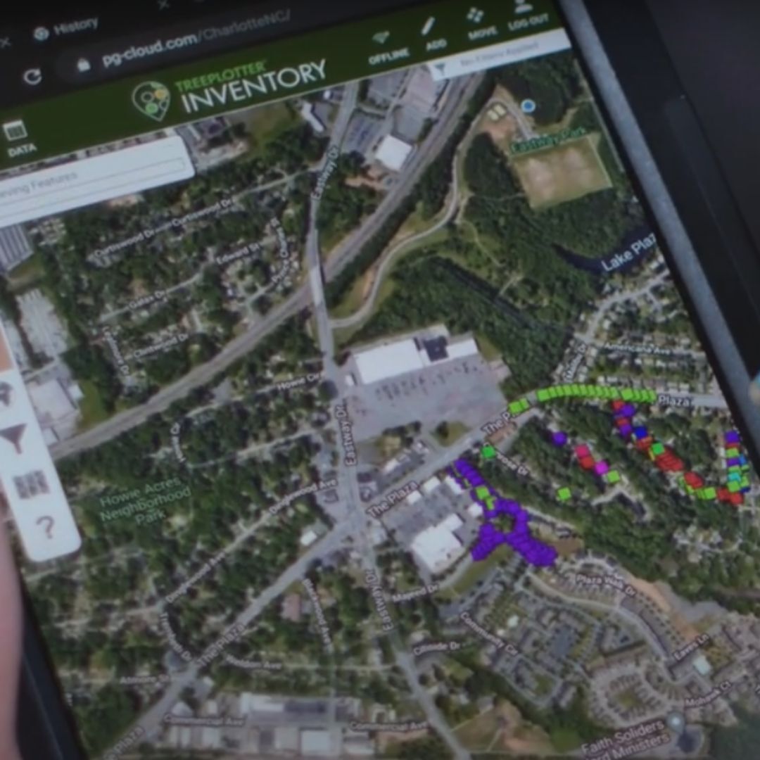 Policy in Practice: Tree Preservation Frameworks